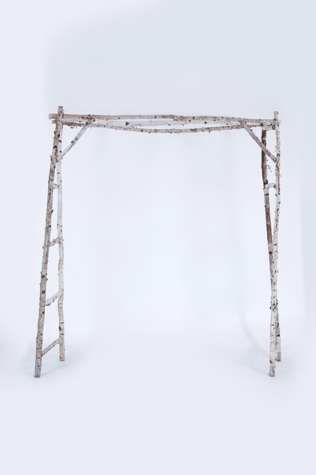 Book Custom Wedding Arches in Austin - Monarch Event Rentals